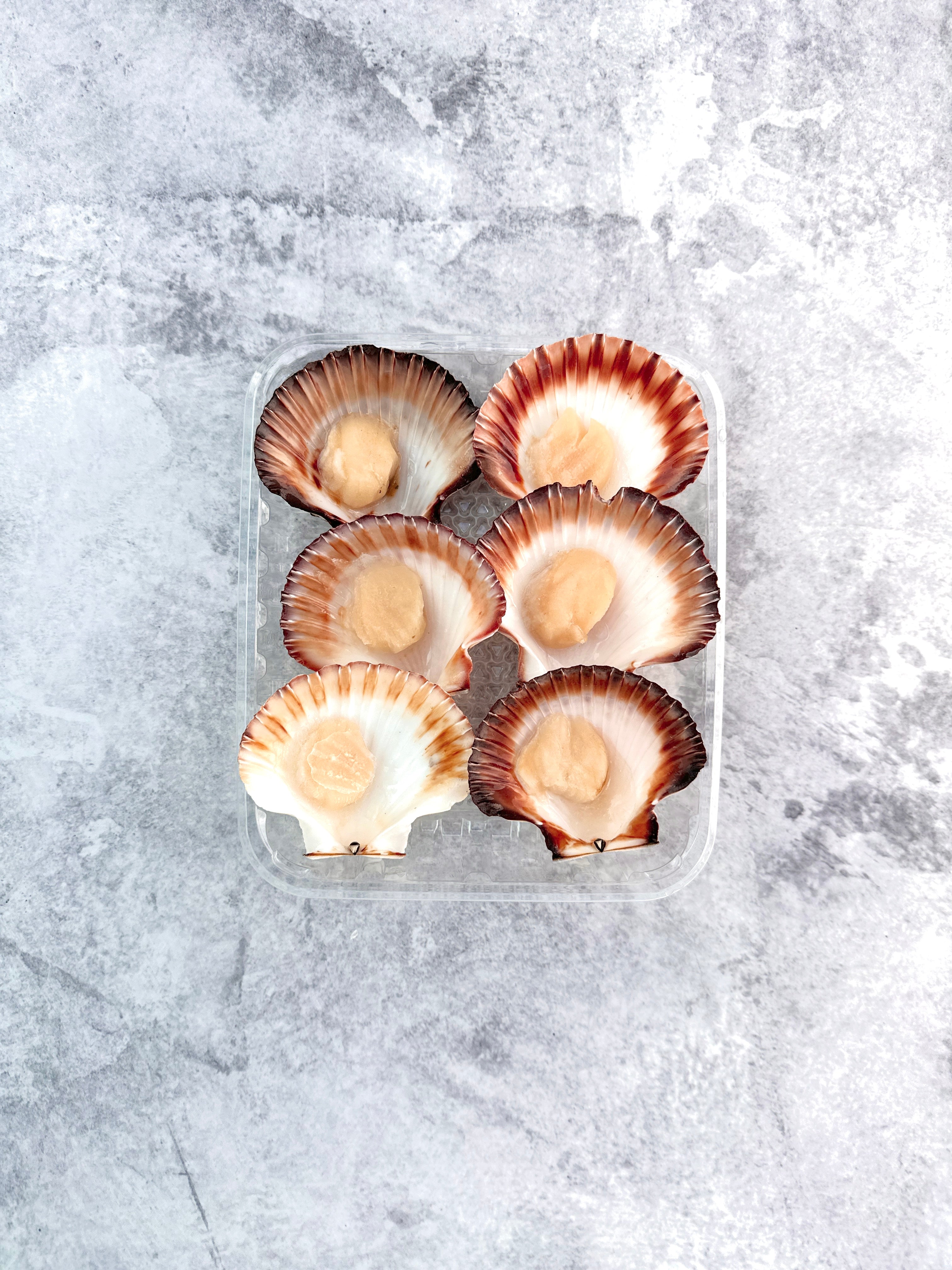 Half Shell Scallops – Dawson's Oyster Supplies